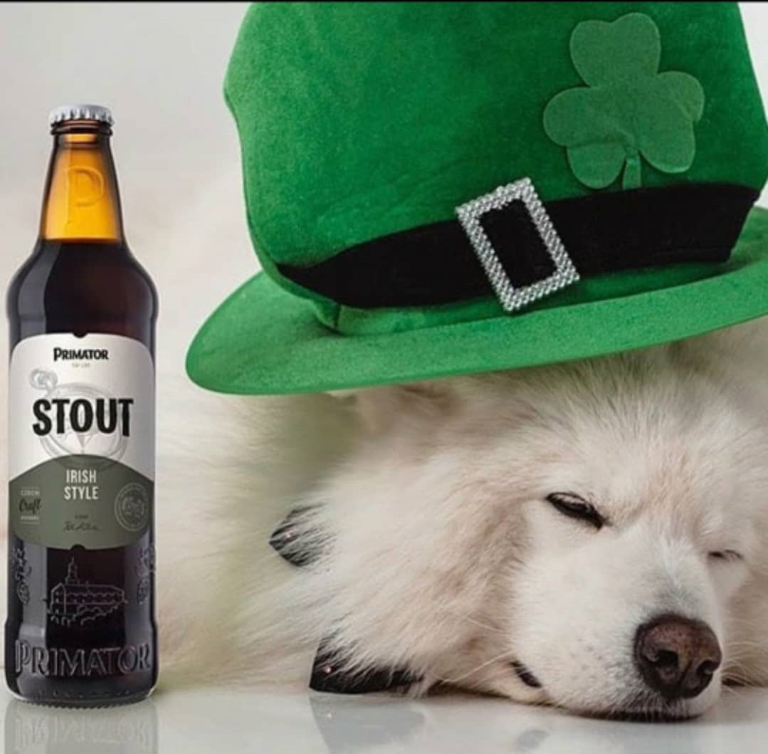 Bere neagra Primator Stout Irish Style (Top Fermented), 4.7%, Sticla ...